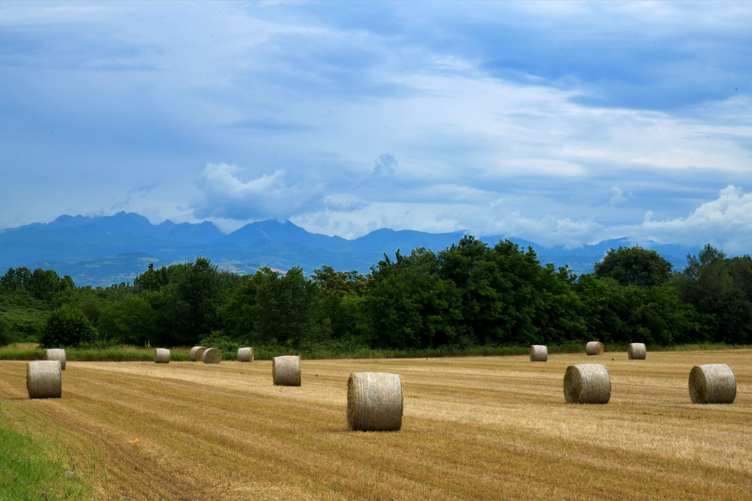AGROTURISM. | Pensiunea MNM